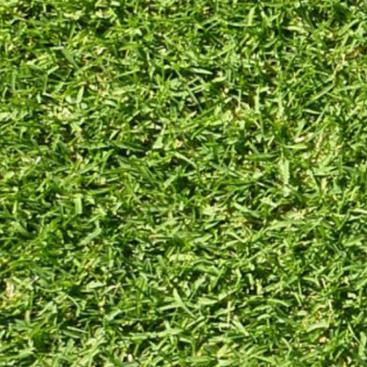 Brisbane Turf Traders | Premium Lawn Turf Supplier & Layer